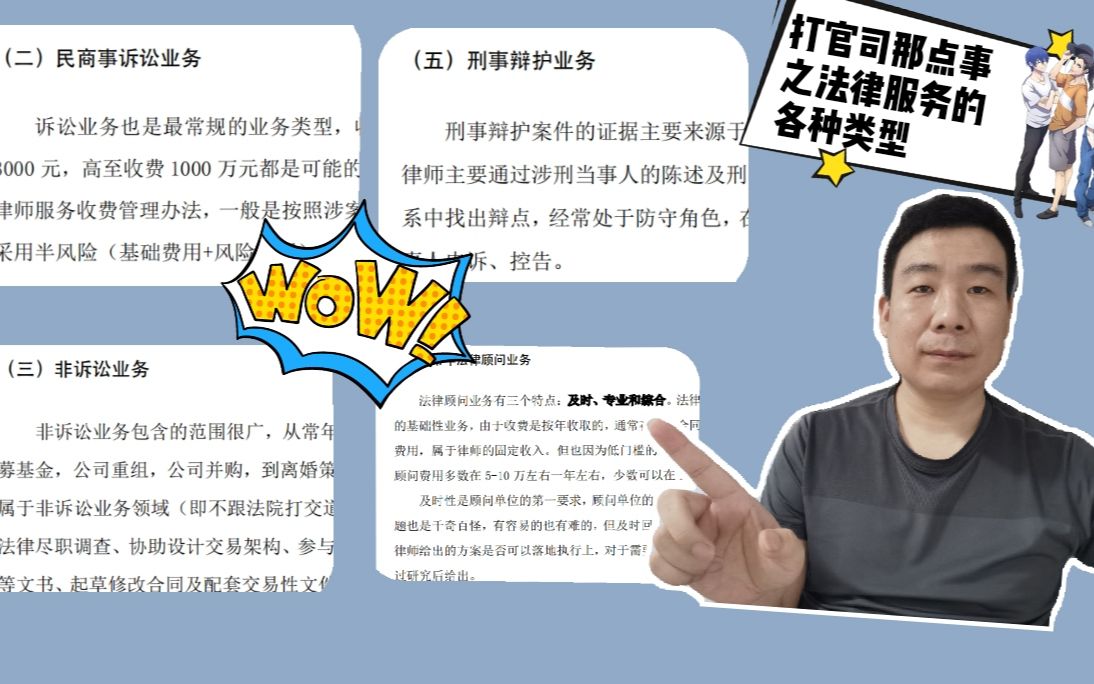 打官司那点事之法律服务的各种类型
