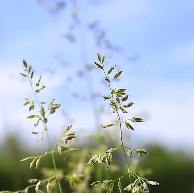 独倚丨南窗 
