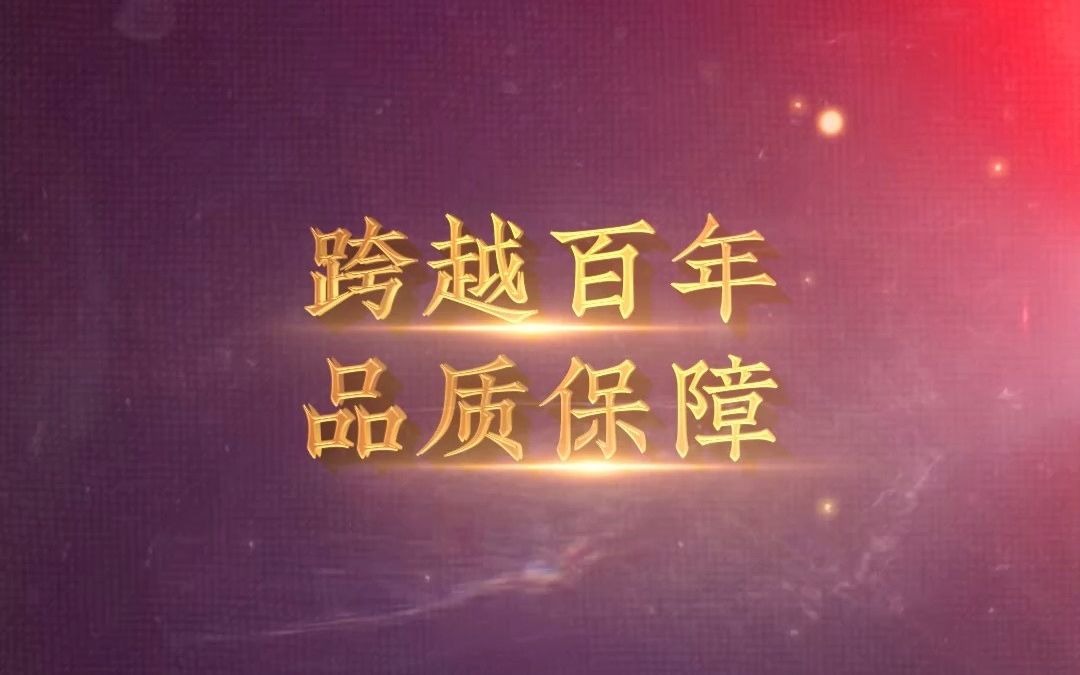 【模板】服饰行业百年珠宝店海报宣传视频制作