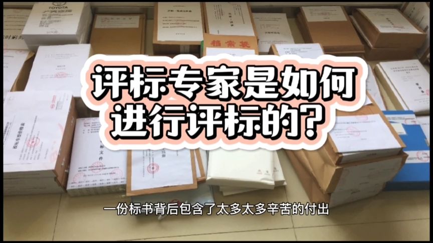 评标专家进入评标室后,是怎么进行评标的?