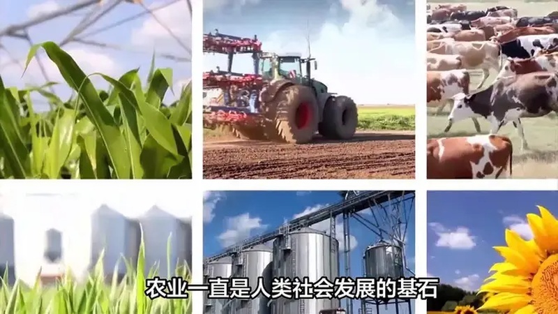 传统农业和现代农业的区别:演变中的农业生产方式