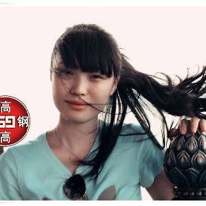 宝山高高兴晟特钢集团 