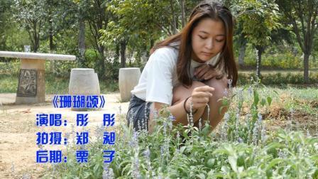 经典老歌500首怀旧歌曲大全播放:.