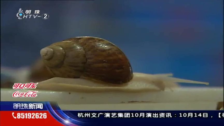 小学生国庆假期,老师给孩子们布置的这道家庭作业,把家长愁坏了