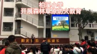 柏溪小学“森林防灭火”宣传活动.