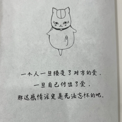 记录L的人生 