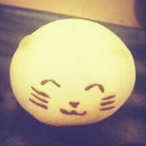 全能小白猫 