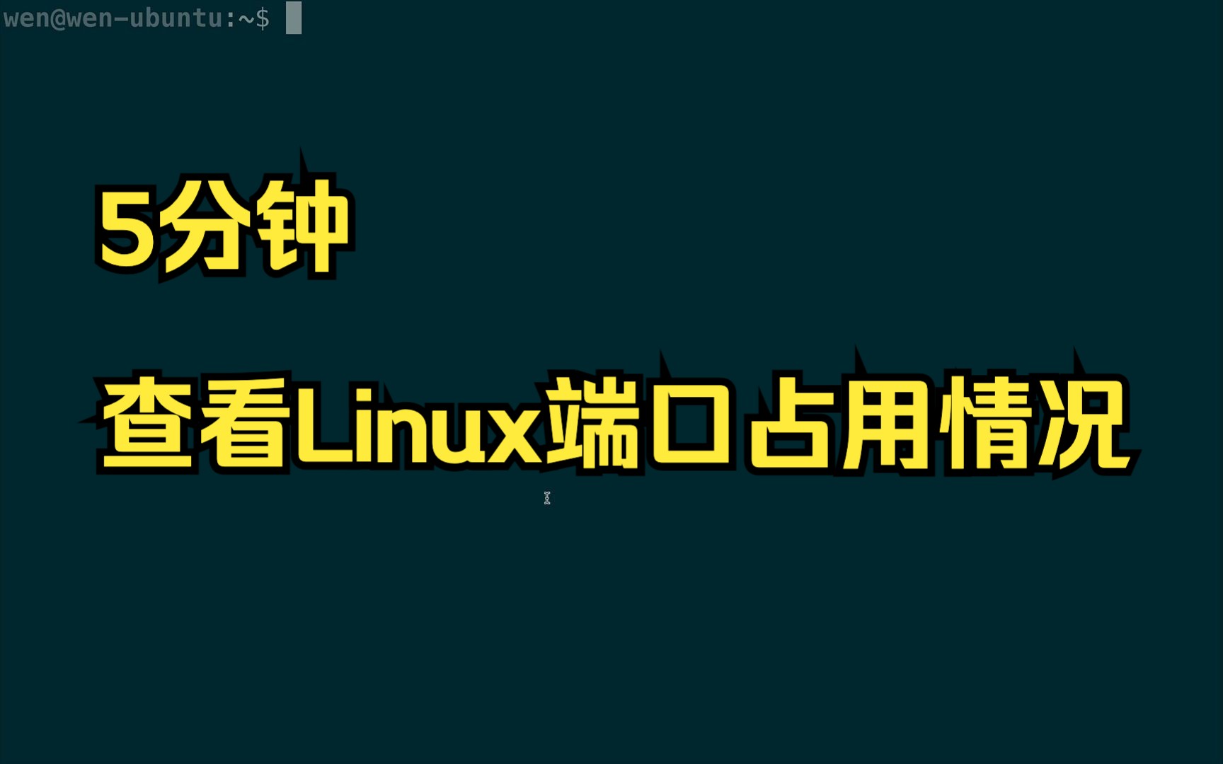 5分钟学会查看Linux端口占用情况