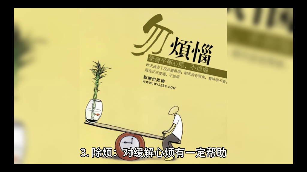芦根的作用与功效