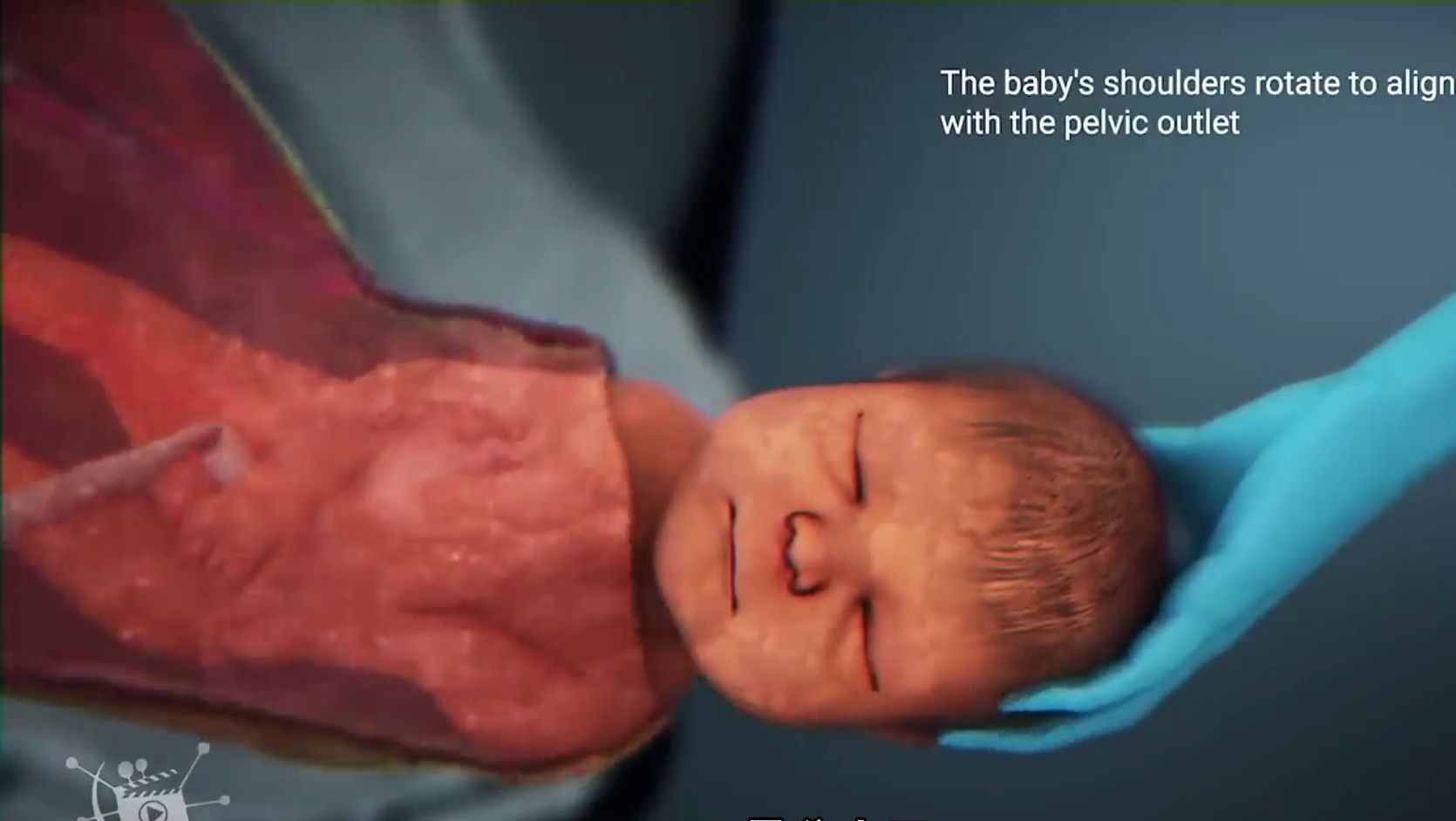 医学科普动画 | 了解自然分娩的过程,一起体验生命的诞生