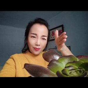 老板娘数字化 
