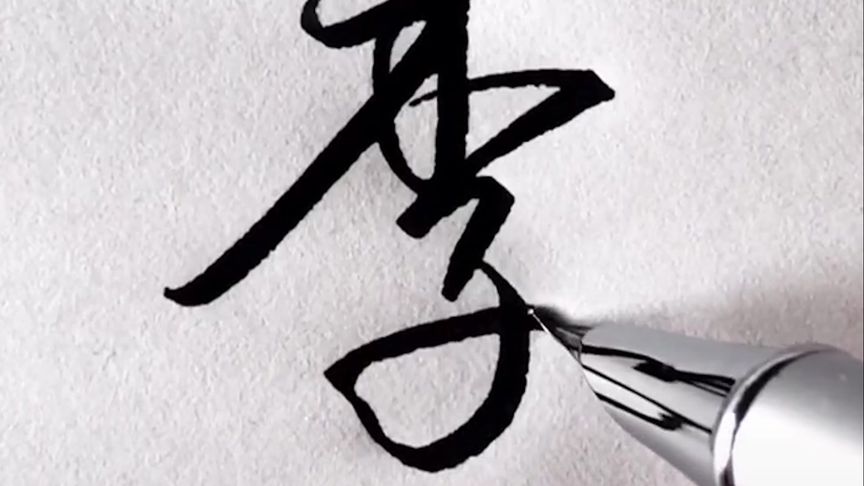 #书法教程#钢笔书法“李”,慢速10倍,一笔一画教你会签名!