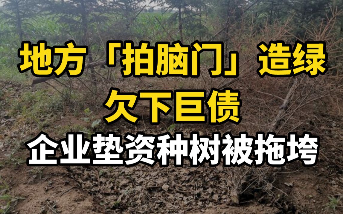 地方“拍脑门”造绿欠下巨债,企业垫资种树被拖垮