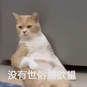 九霄长虹共羽鸣 