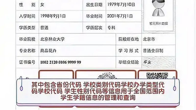 学生与家长必知:学籍号到底是什么含义