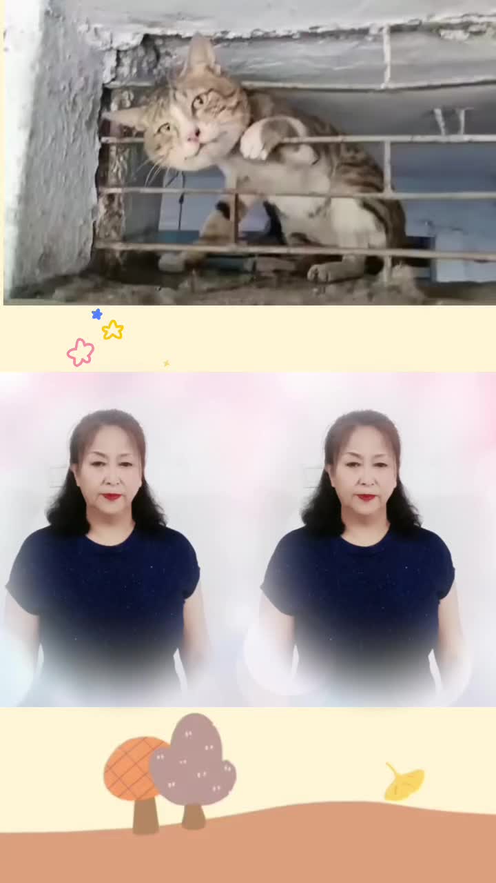 #幼儿手指游戏 #幼儿手指律动,简单易学的手势舞 师傅@大眼邪魔ߔ�...