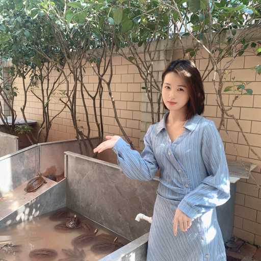 金钱龟名龟A_SDMG 