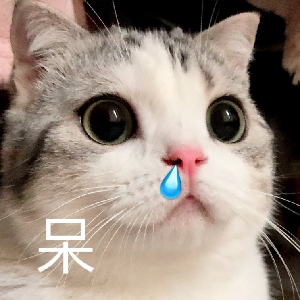 博缵遥记 