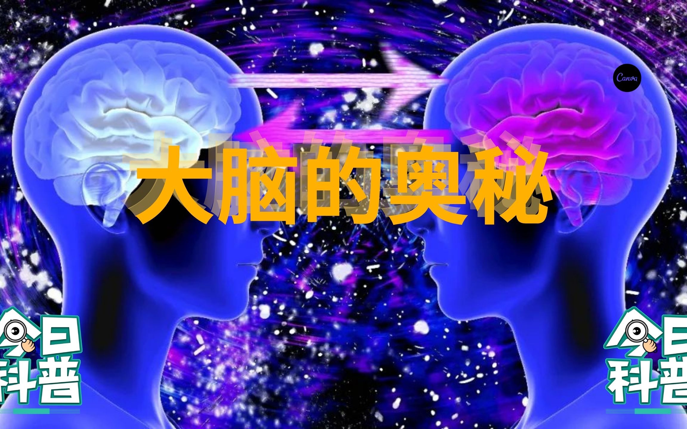 我们每天都在使用大脑,那么大脑是如何工作的你又知道多少?