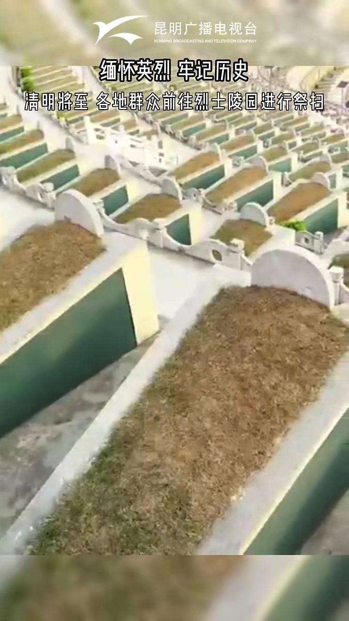 清明将至,各地群众前往烈士陵园进行祭扫#清明#烈士#祭扫
