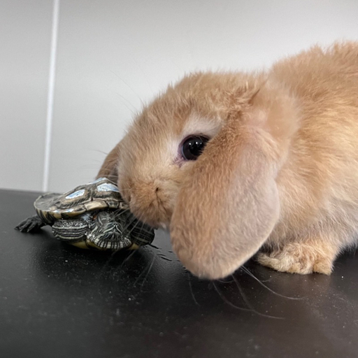 繁繁繁繁凡 