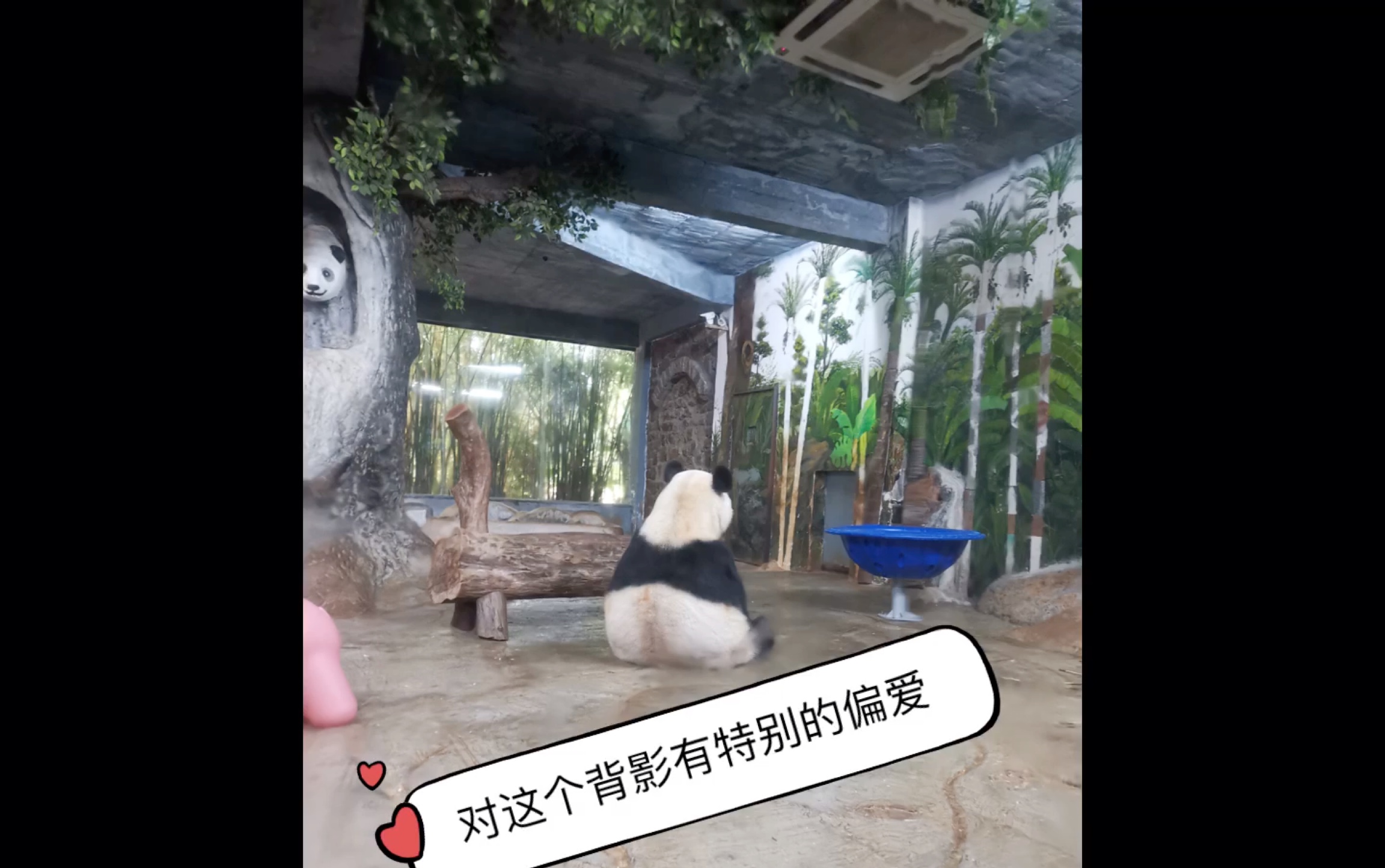 天涯英才卡之重温小时候的快乐。第1站海南热带野生动植物园