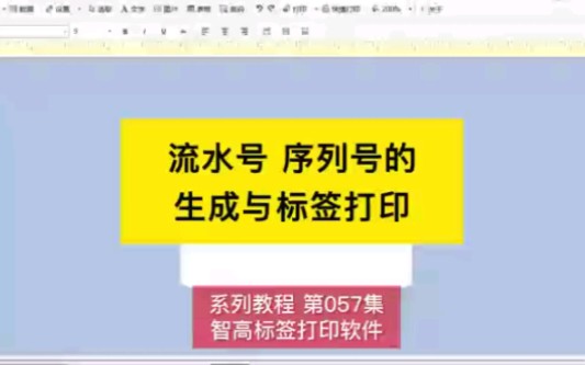 流水号,序列号的生成与标签打印,流水号条码,流水号二维码,序列号码...