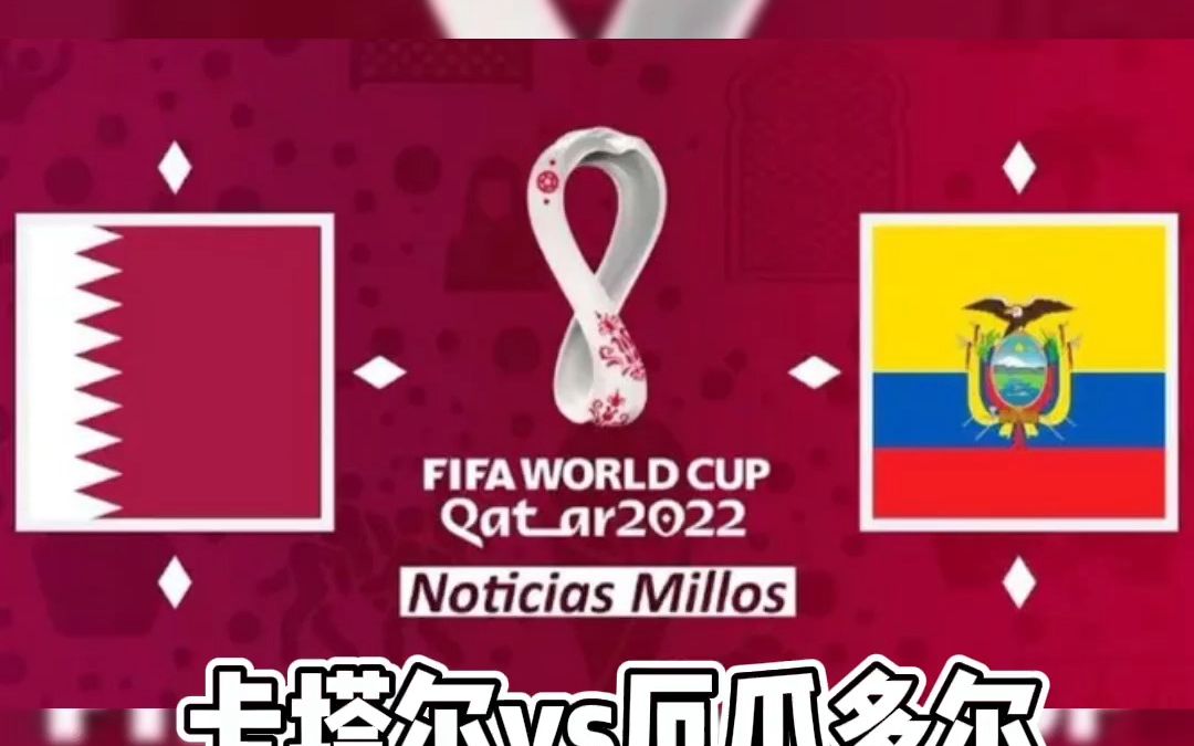 卡塔尔vs厄瓜多尔