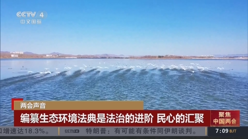 [中国新闻]聚焦中国两会 两会声音 编纂生态环境法典是法治的进阶 ...