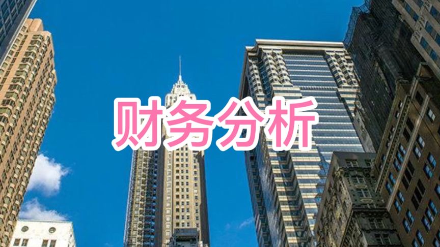 公司盈利能力分析