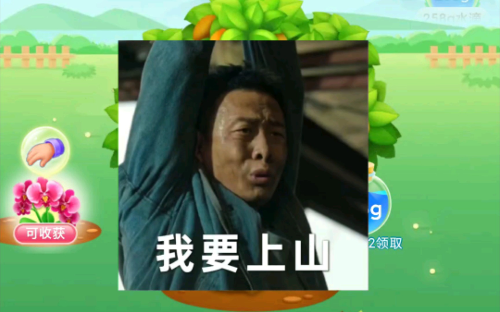 拼多多果园之你真g