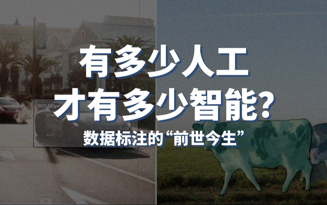 有多少人工,就有多少智能?—— 数据标注的前世今生