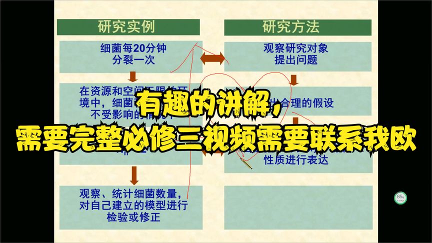 种群数量变化——数学模型研究方法全步骤