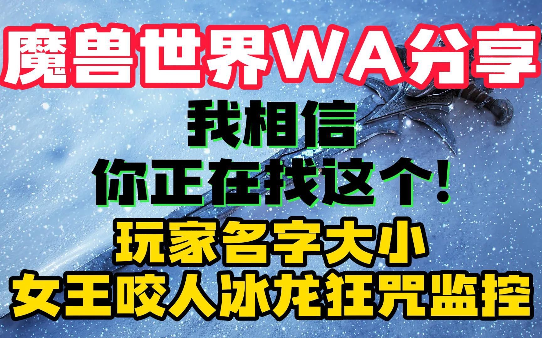 魔兽世界WA分享:玩家名字大小以及ICC监控BOSS技能监控_哔哩哔哩...