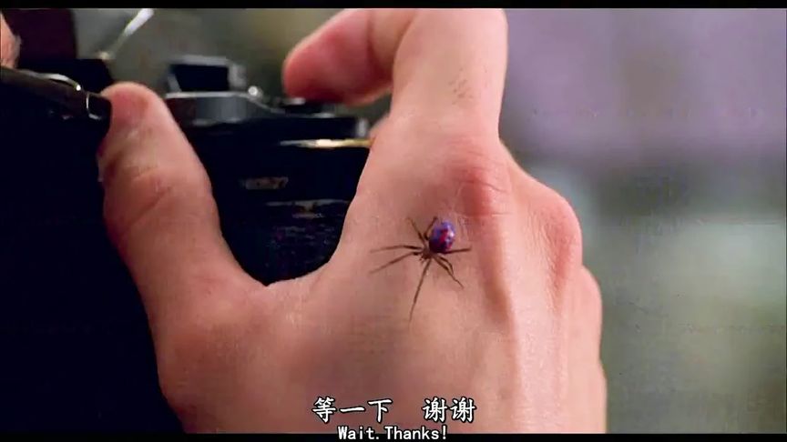 外国被动物咬一口 我要变成英雄了!我被苍蝇叮了一口 现在怎么办