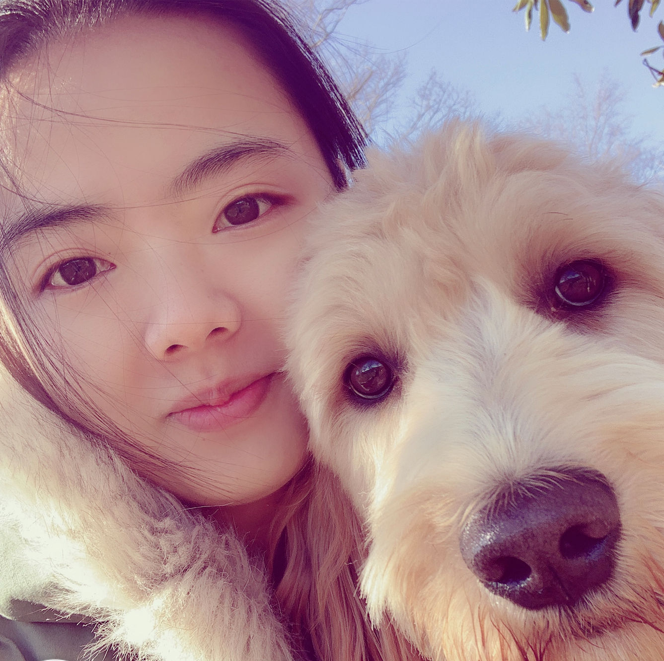 半梦半醒林小呆 