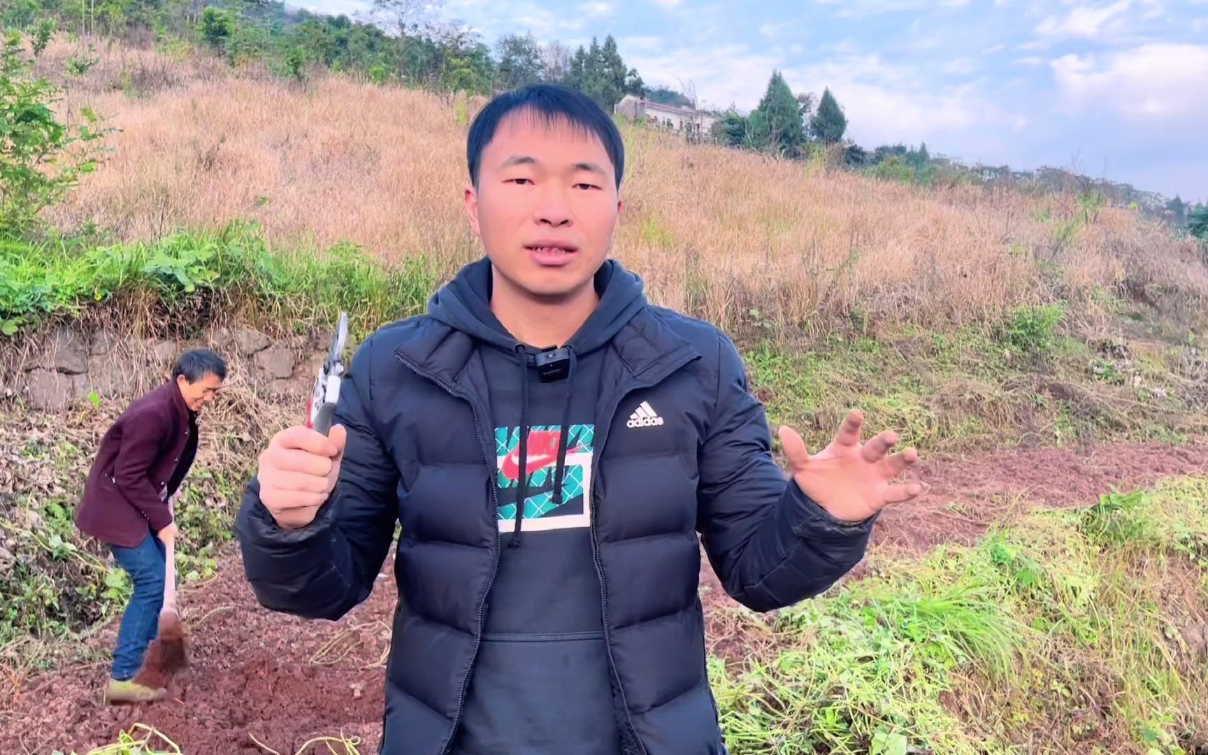 种植小树苗只要掌握这三步骤,来年根系发达长势好,不信你试一试