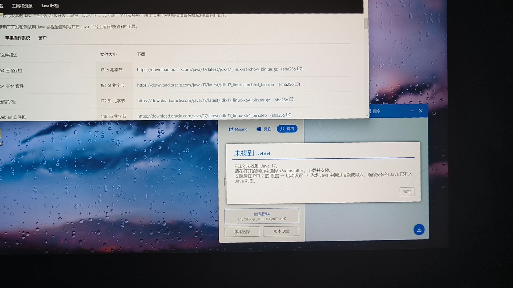 我的世界java17 现在该怎么办呢?
