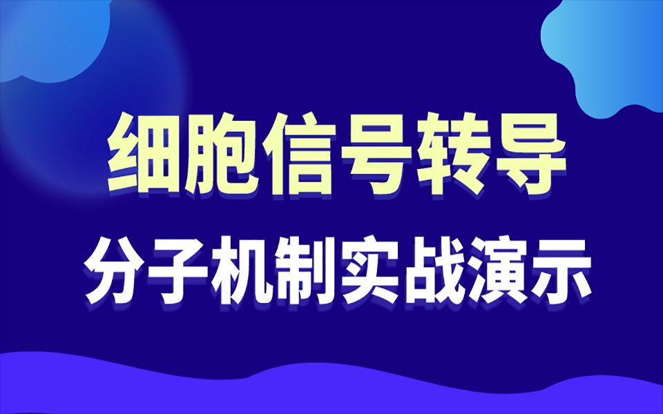 干货 | 细胞信号转导的分子机制+信号通路查询实战演示