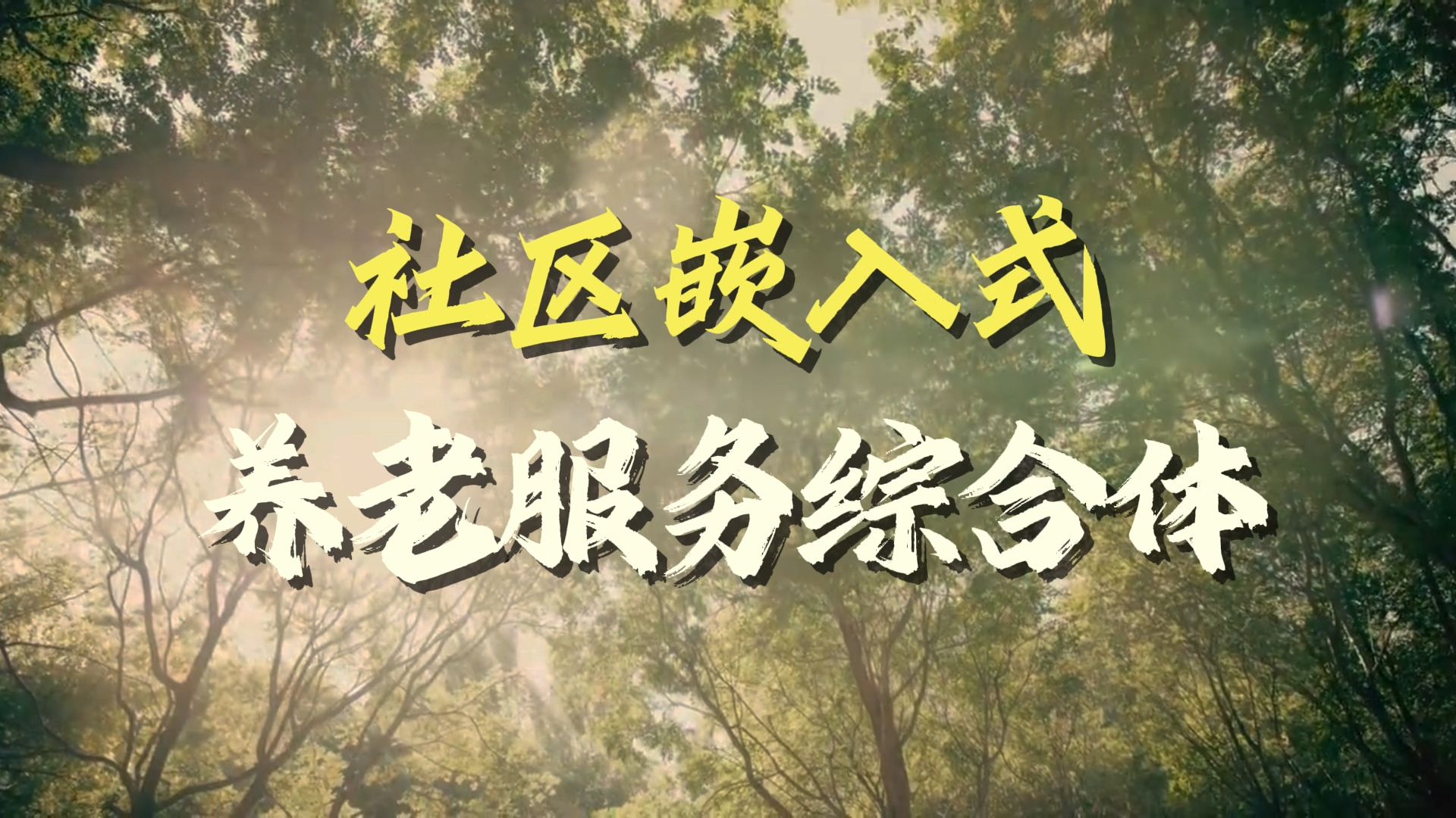 什么事社区嵌入式养老服务综合体?