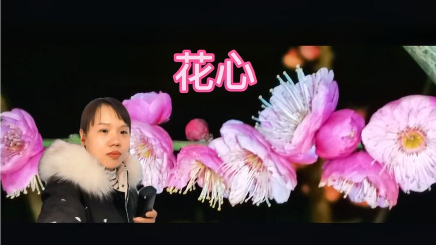 春暖花开去看看花儿,心情舒畅,每个季节都有不同的花开放