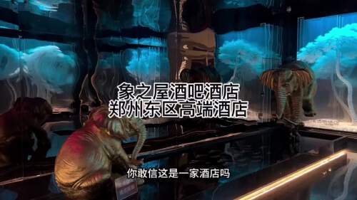 一家自带餐厅酒吧的高端酒店 服务很到位 体验感满分