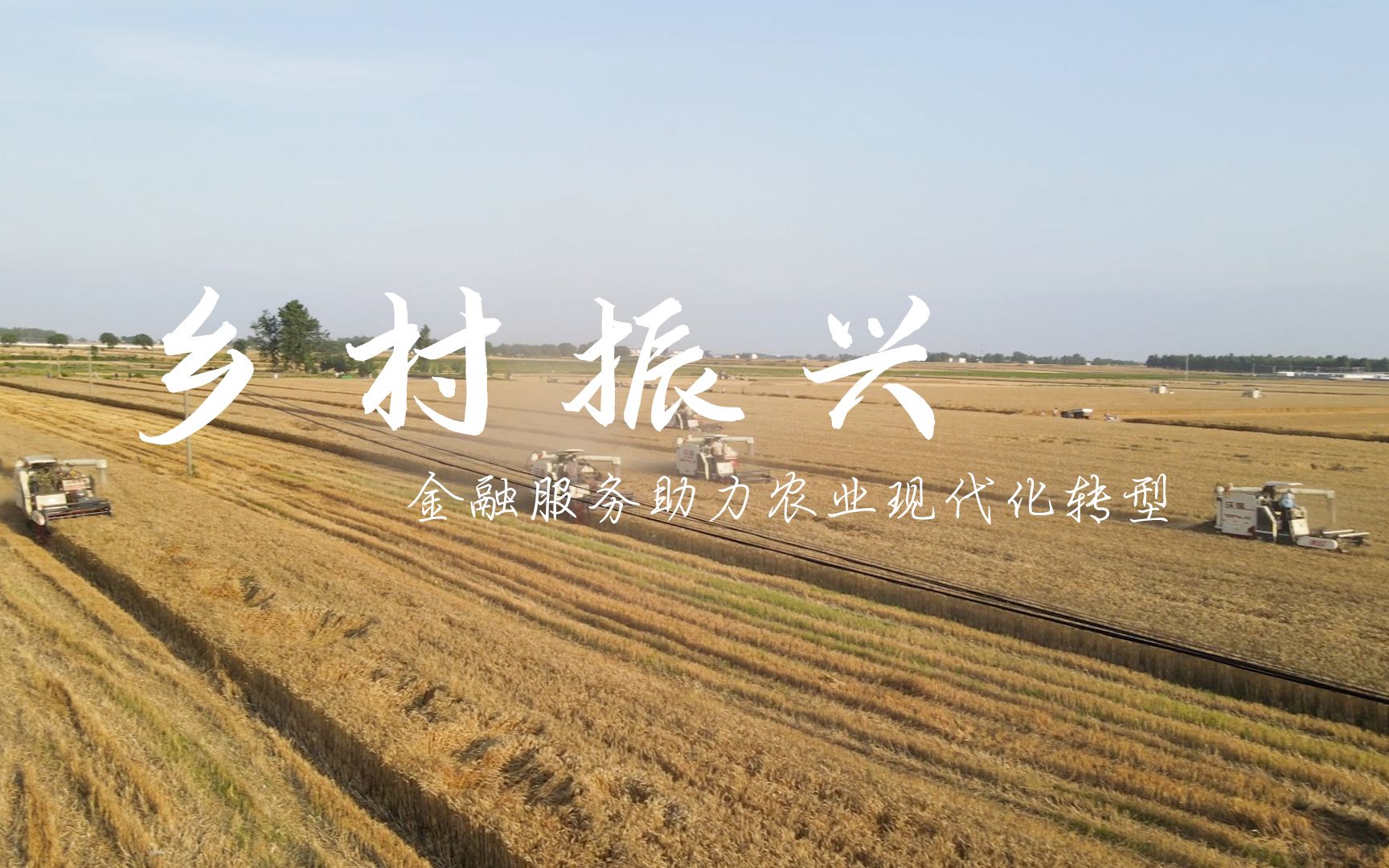 乡村振兴——金融服务助力农业现代化转型