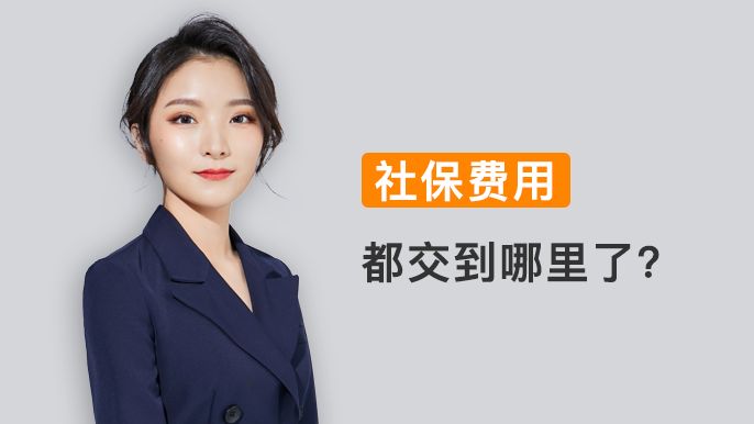 第一课 《社保交的钱去了哪里?带你了解社保账户体系!》