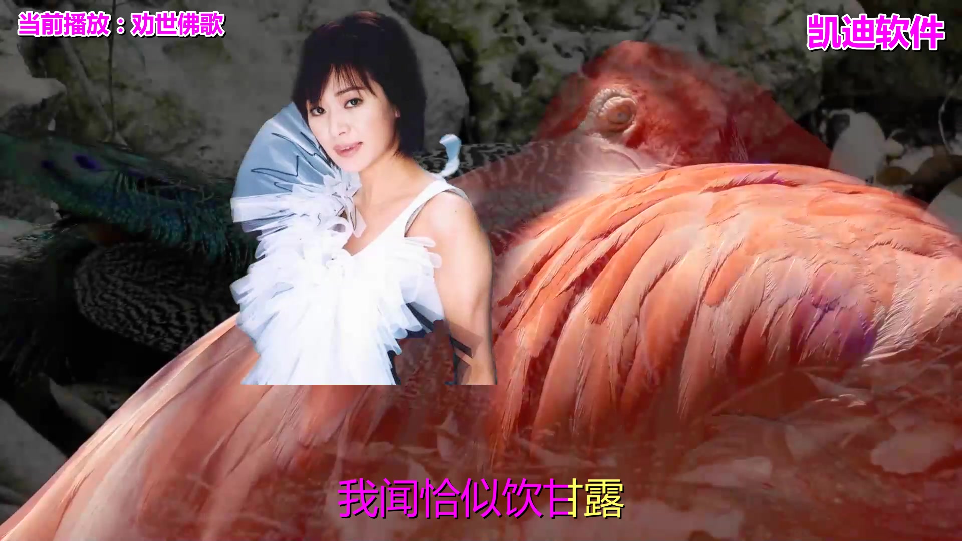 经典老歌大全100首《劝世佛歌》