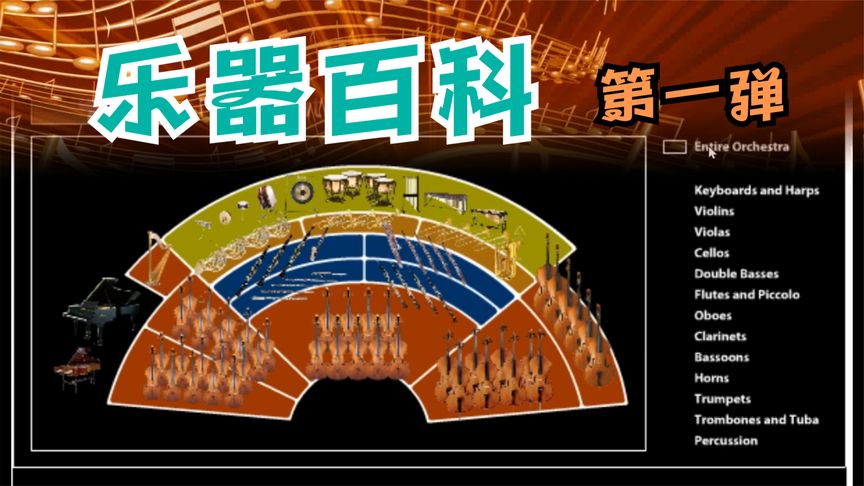 人人都需要知道,管弦乐团都有什么乐器?有图有真相有声音