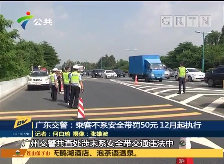 2019 广东交警:乘客不系安全带罚50元 12月起执行