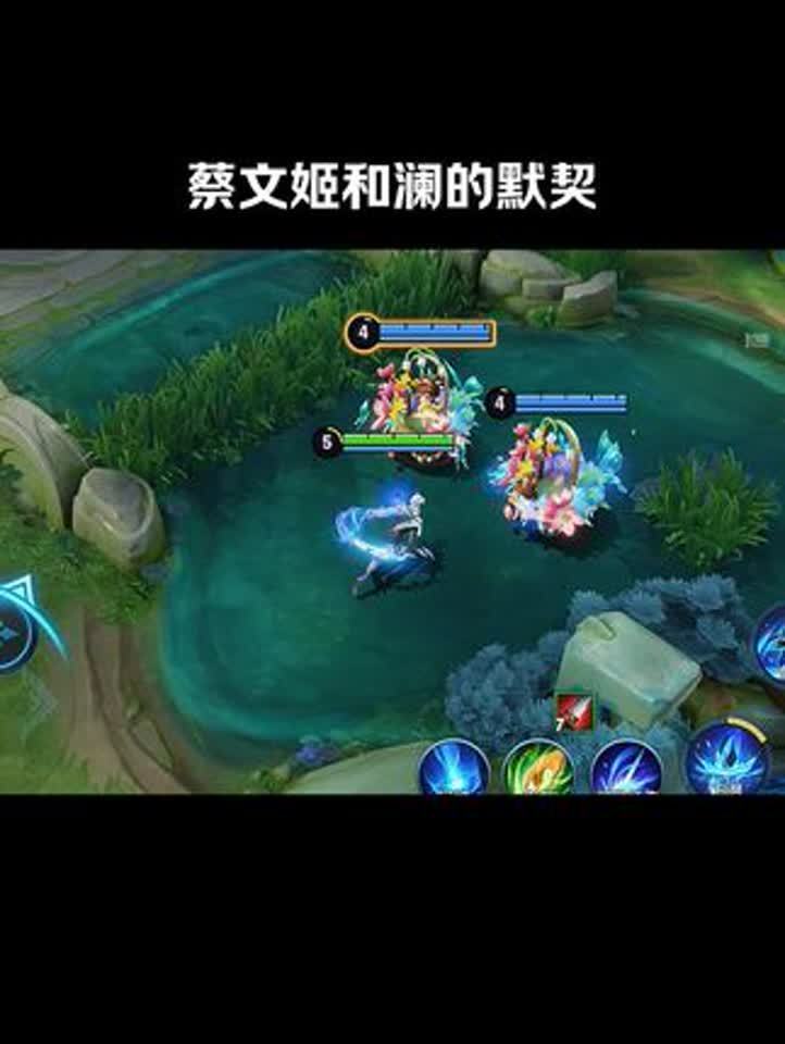 这就是蔡文姬和澜的默契吗