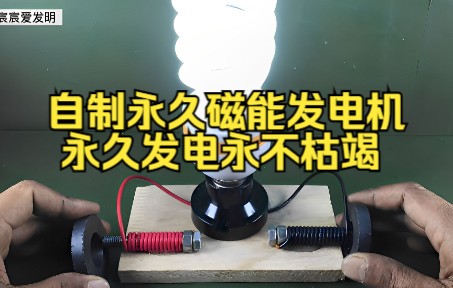 自制永久磁能发电机,永久发电,永不枯竭