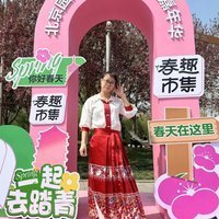 会闪亮的向日葵